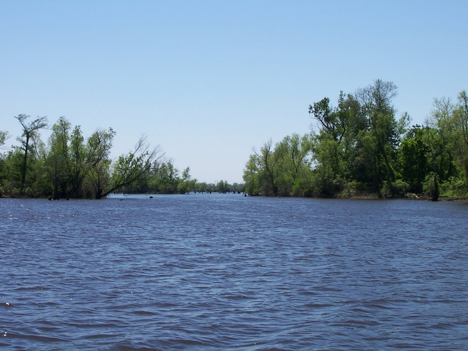 Living on the Tail of the Teche